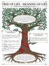 THE MEANING OF THE TREE OF LIFE – Inspirational Quotes